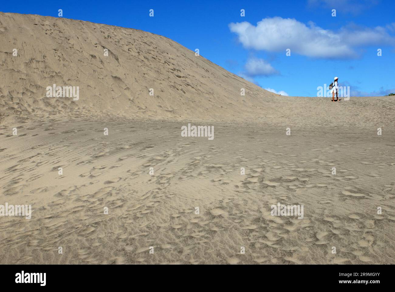 SIgatoka Sand Dunes National Park, Fiji Stock Photo - Alamy