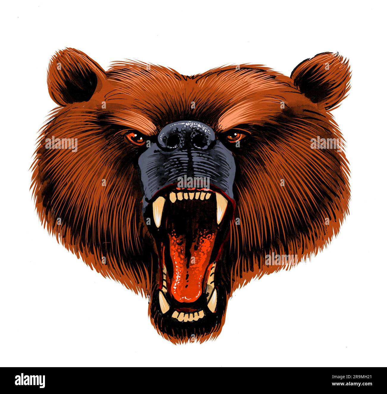 Roaring Bear Drawing