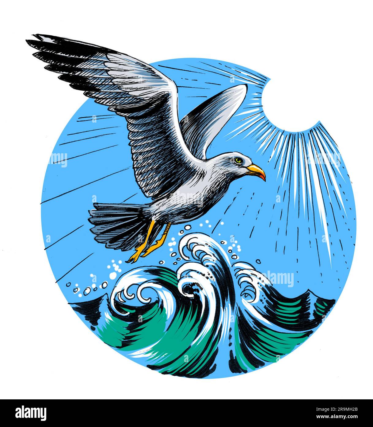 Flying seagull drawing Cut Out Stock Images & Pictures - Alamy