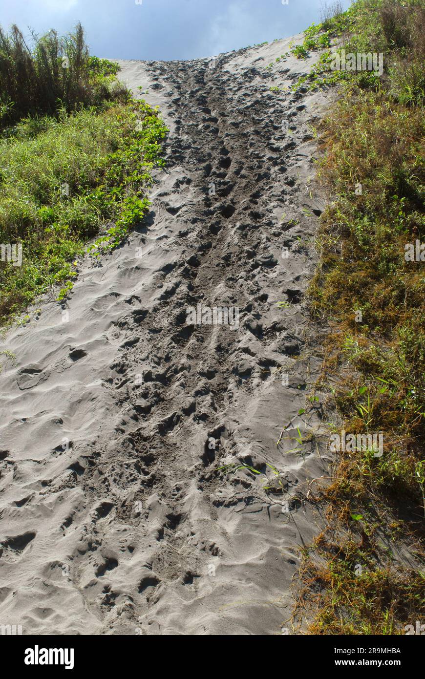 SIgatoka Sand Dunes National Park, Fiji Stock Photo - Alamy
