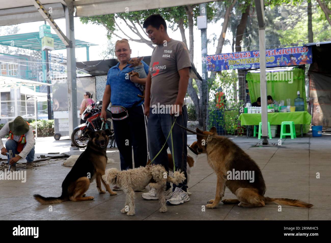 Non Exclusive: June 27, 2023, Mexico City, Mexico: Dogs wait to be ...