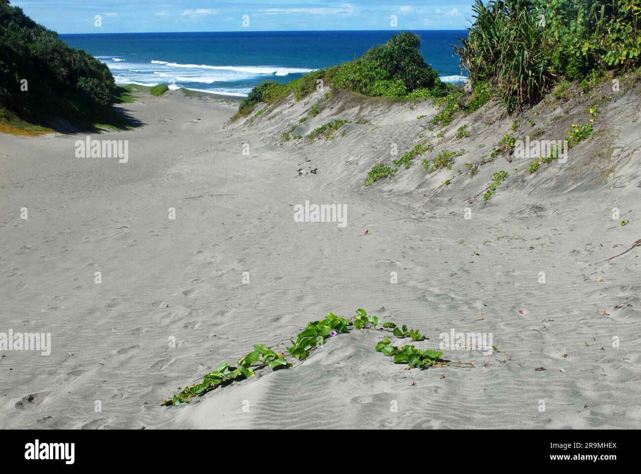 SIgatoka Sand Dunes National Park, Fiji Stock Photo - Alamy