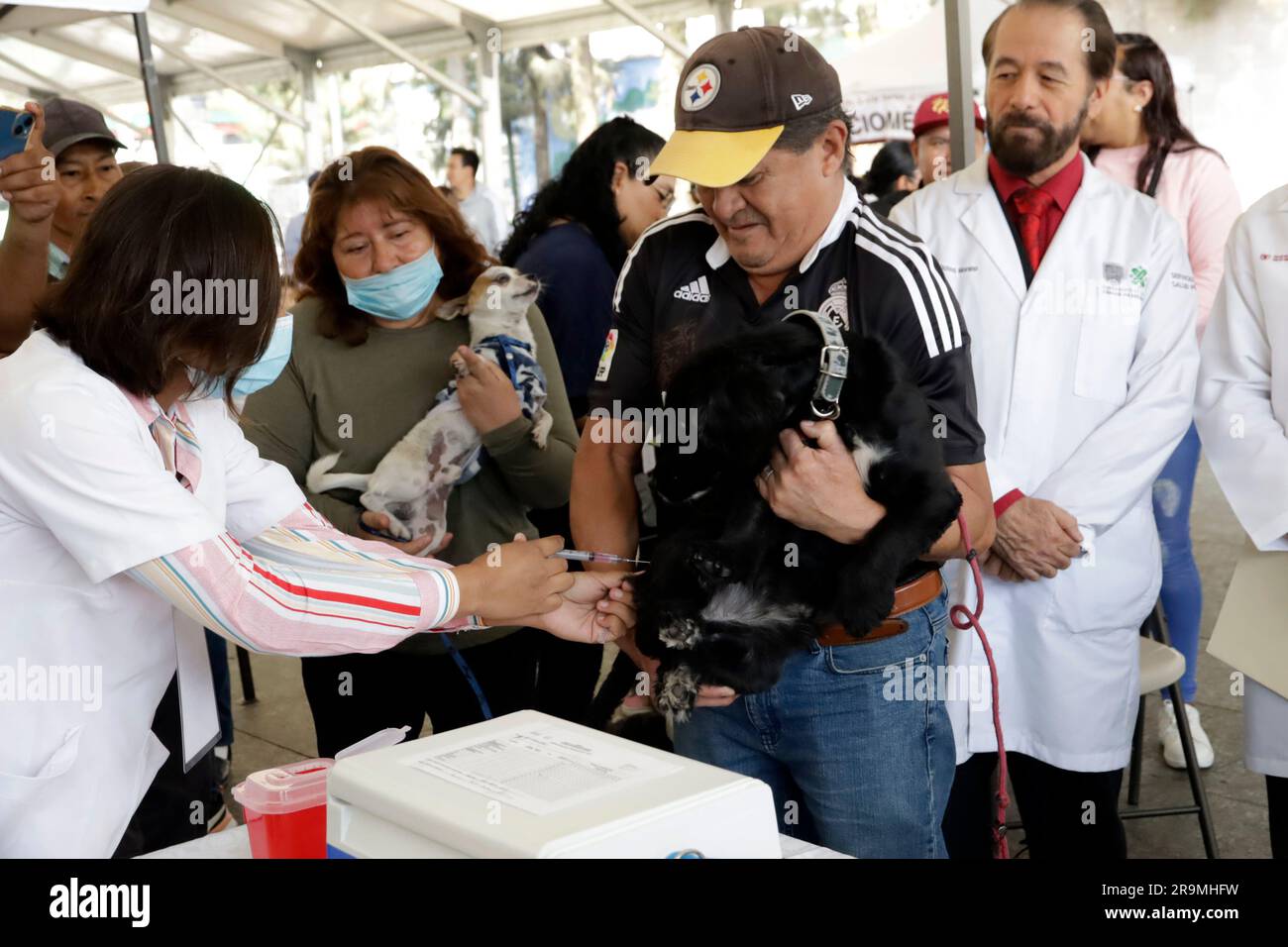 Non Exclusive: June 27, 2023, Mexico City, Mexico: Owners take their ...