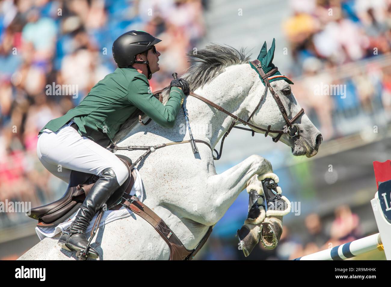 Daniel Coyle of Team Ireland competes in the FEI Nations Cup on June 6 ...
