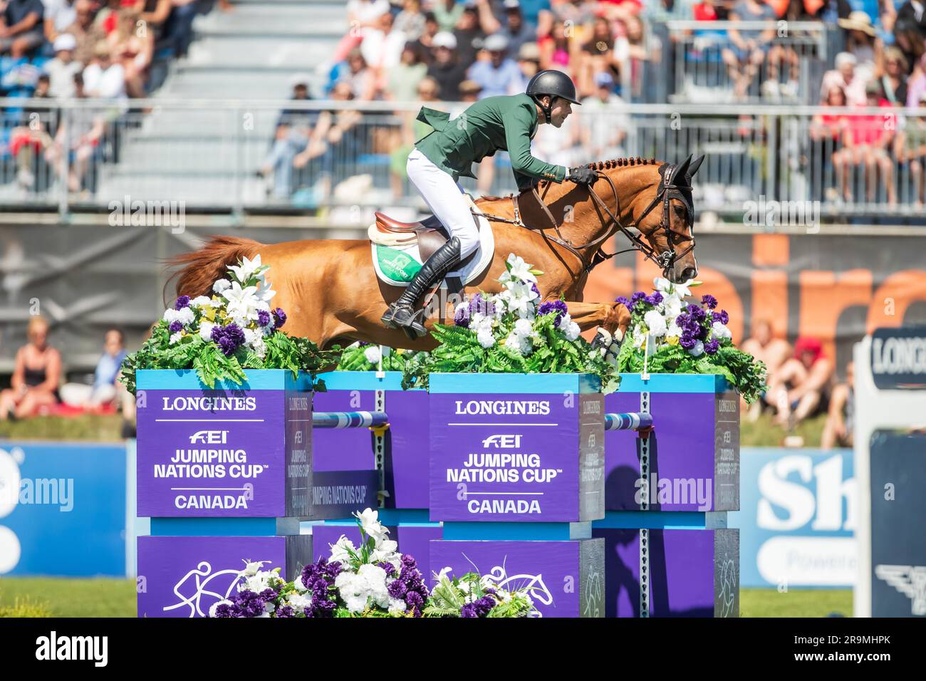 David Blake of Team Ireland competes in the FEI Nations Cup on June 6 ...