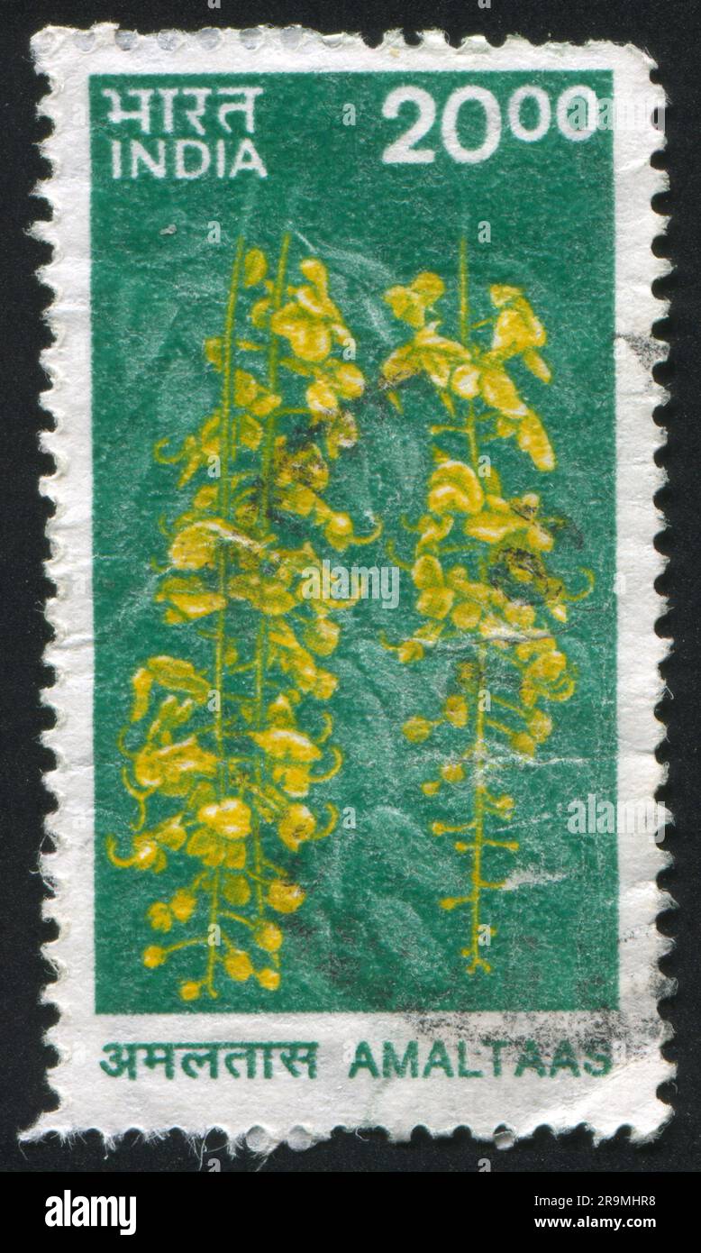 INDIA - CIRCA 2000: stamp printed by India, shows Amaltaas, circa 2000 ...