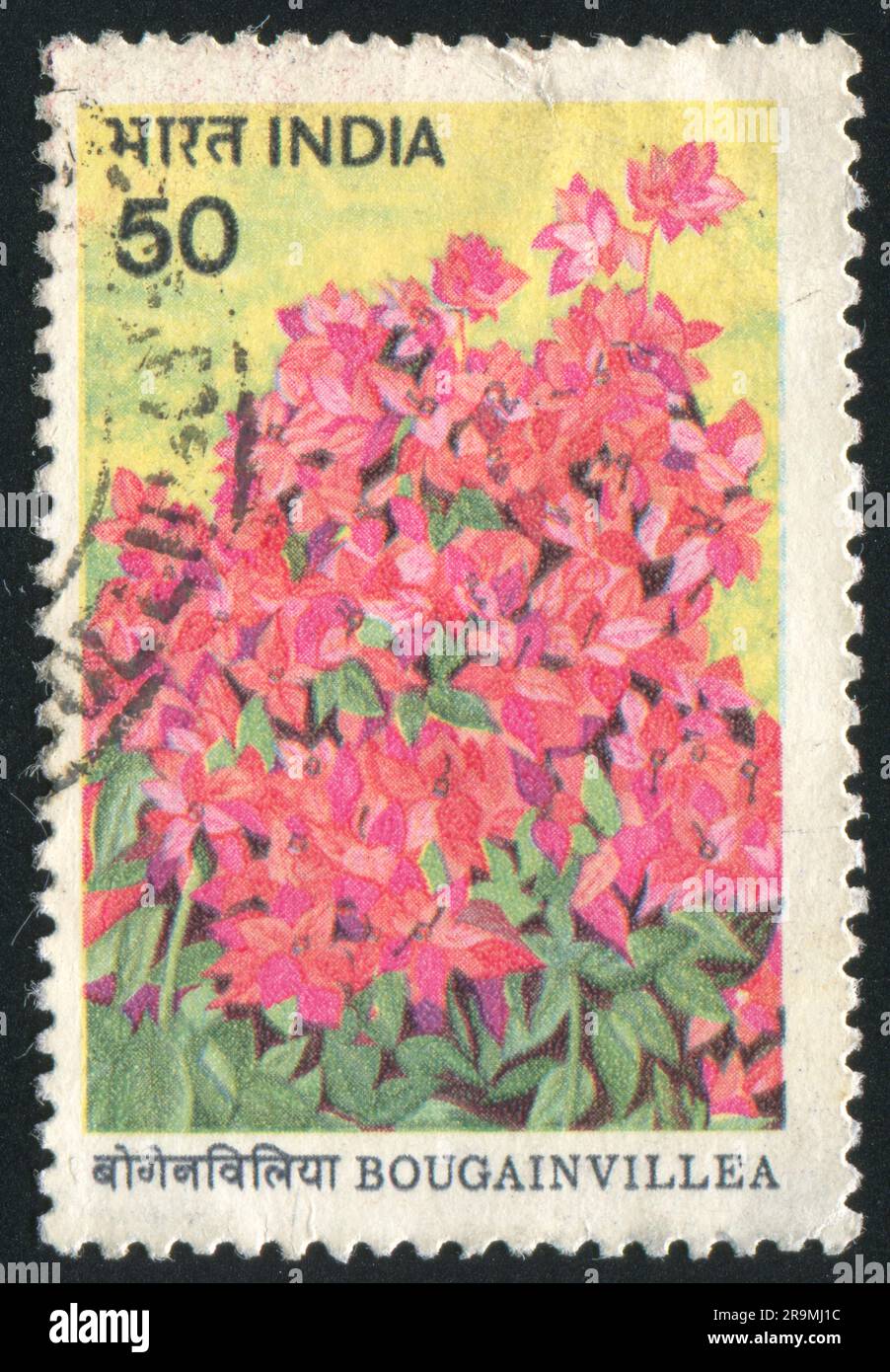 INDIA - CIRCA 1985: stamp printed by India, shows flower Bougainvillea ...