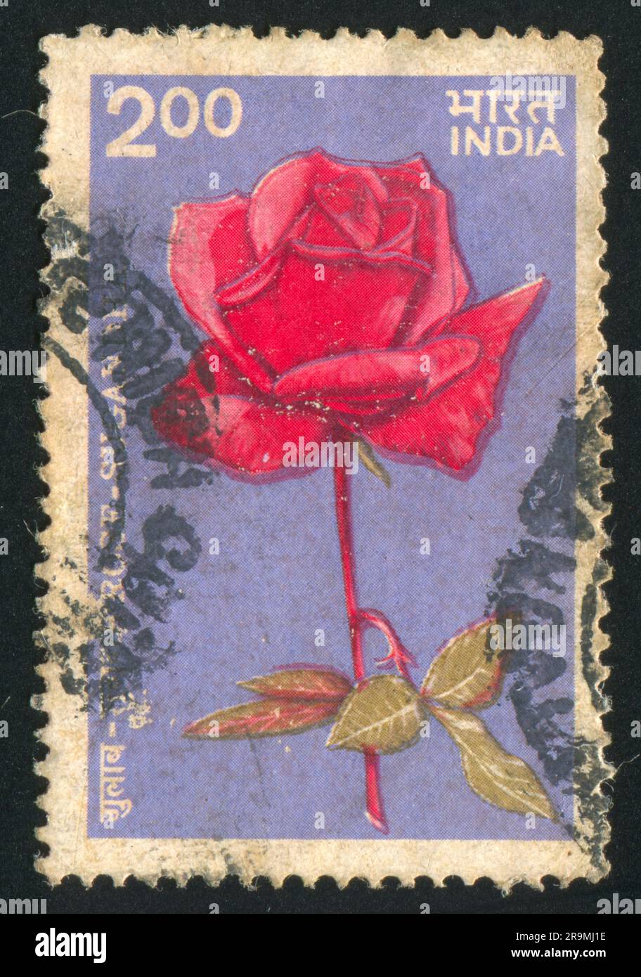 INDIA - CIRCA 1977: stamp printed by India, shows flower rose, circa ...