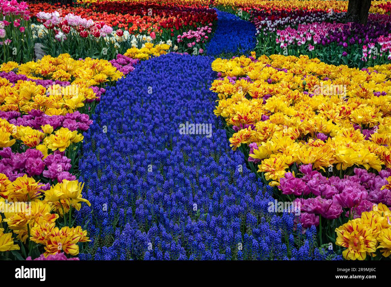 Roozengaarde display garden hi-res stock photography and images - Alamy