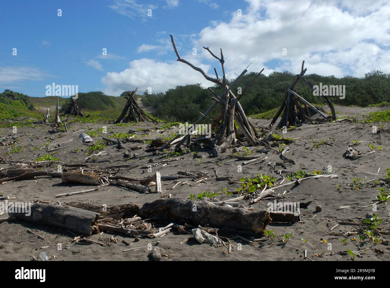 Fijian ecosystem hi-res stock photography and images - Alamy