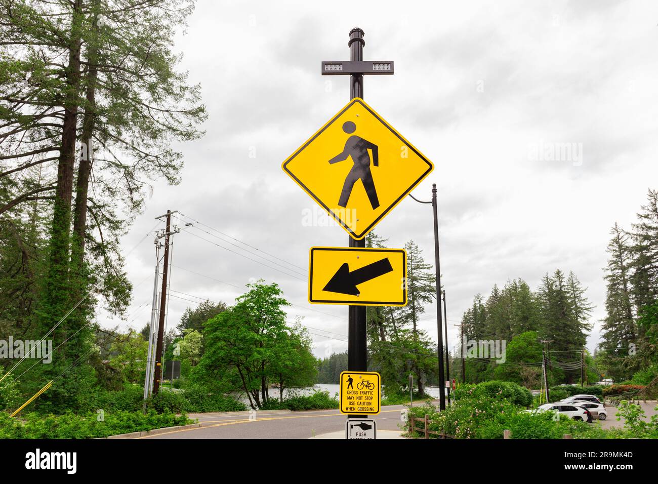 The Iconic Yellow Pedestrian Road Sign at a Local road in the Forest ...