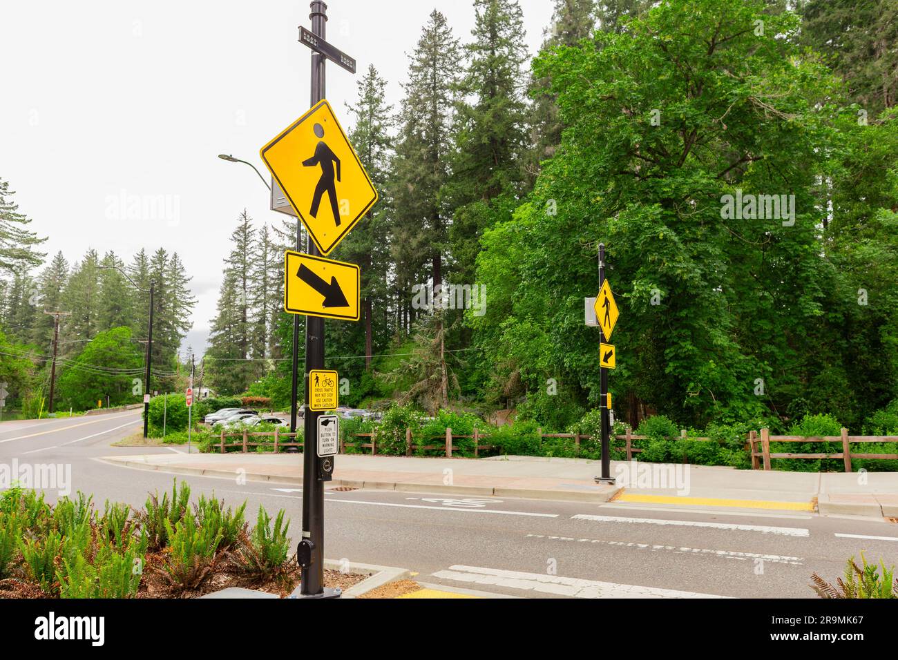 The Iconic Yellow Pedestrian Road Sign at a Local road in the Forest ...