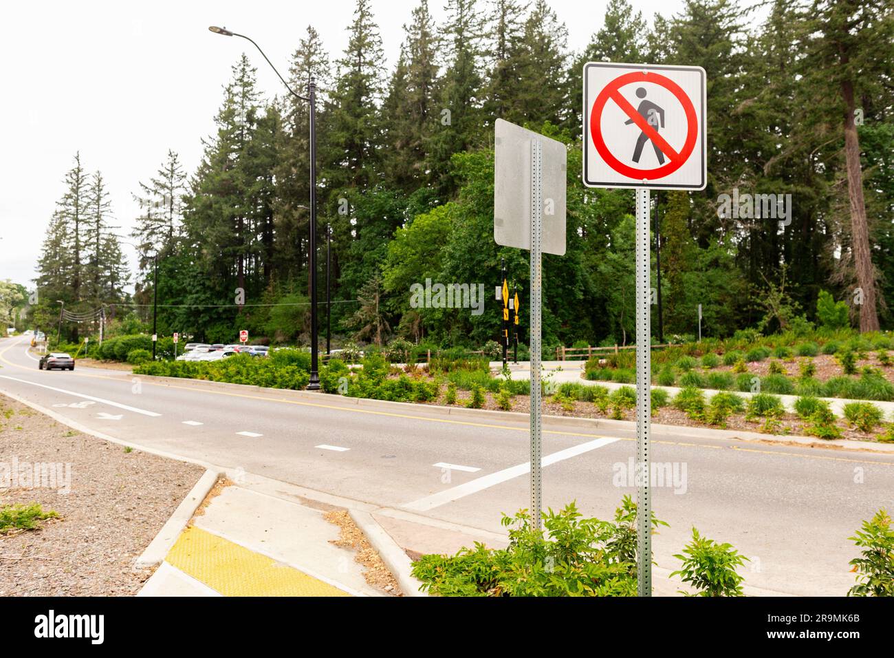 Thee Crossed No Pedestrian Traffic Sign on the Road, Featuring a White ...