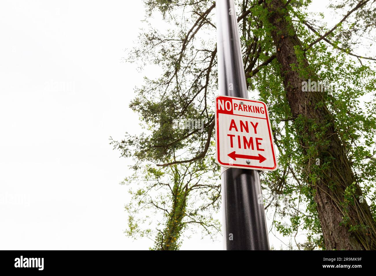 The American Version of No Parking Any Time Road Sign, Indicating the ...