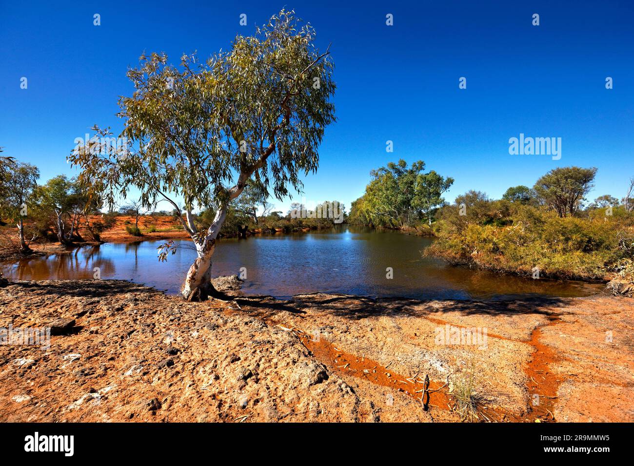 Billabong waterhole landscape hi-res stock photography and images - Alamy