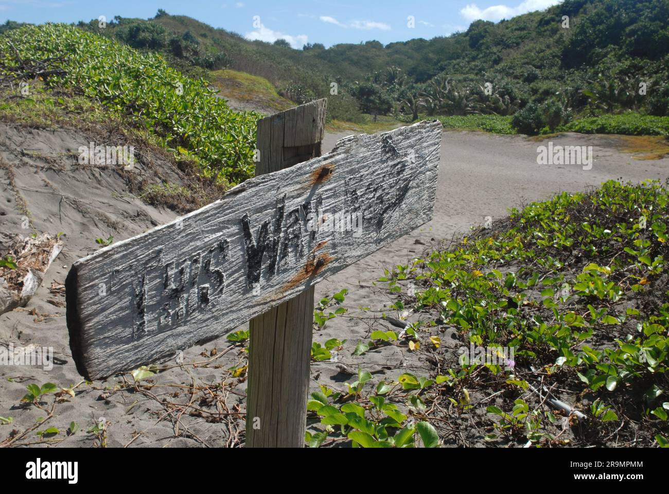 This Way Sign, SIgatoka Sand Dunes National Park, Fiji Stock Photo - Alamy