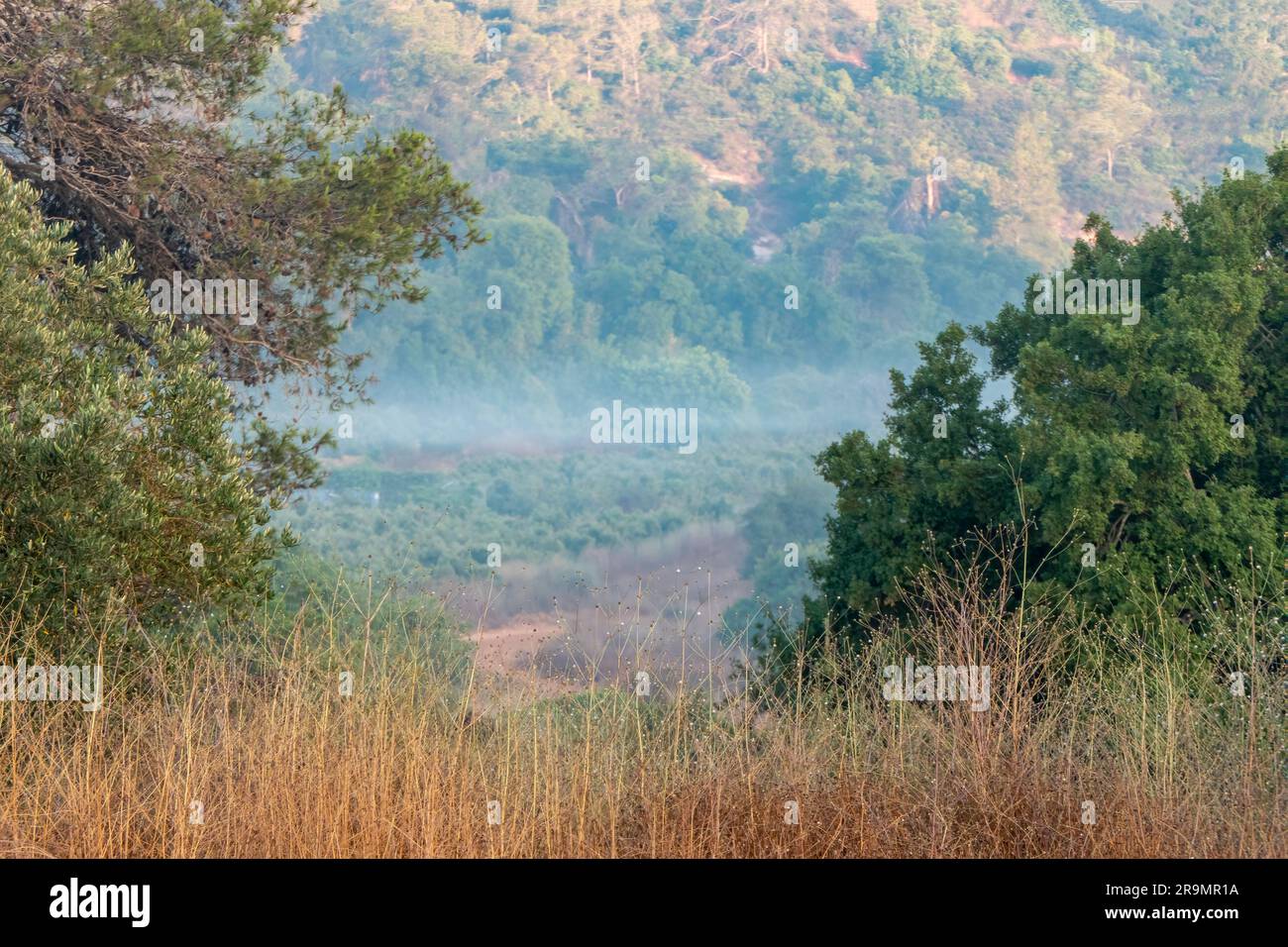 Western Galilee. National park mount Carmel. Summer season. Morning fog ...