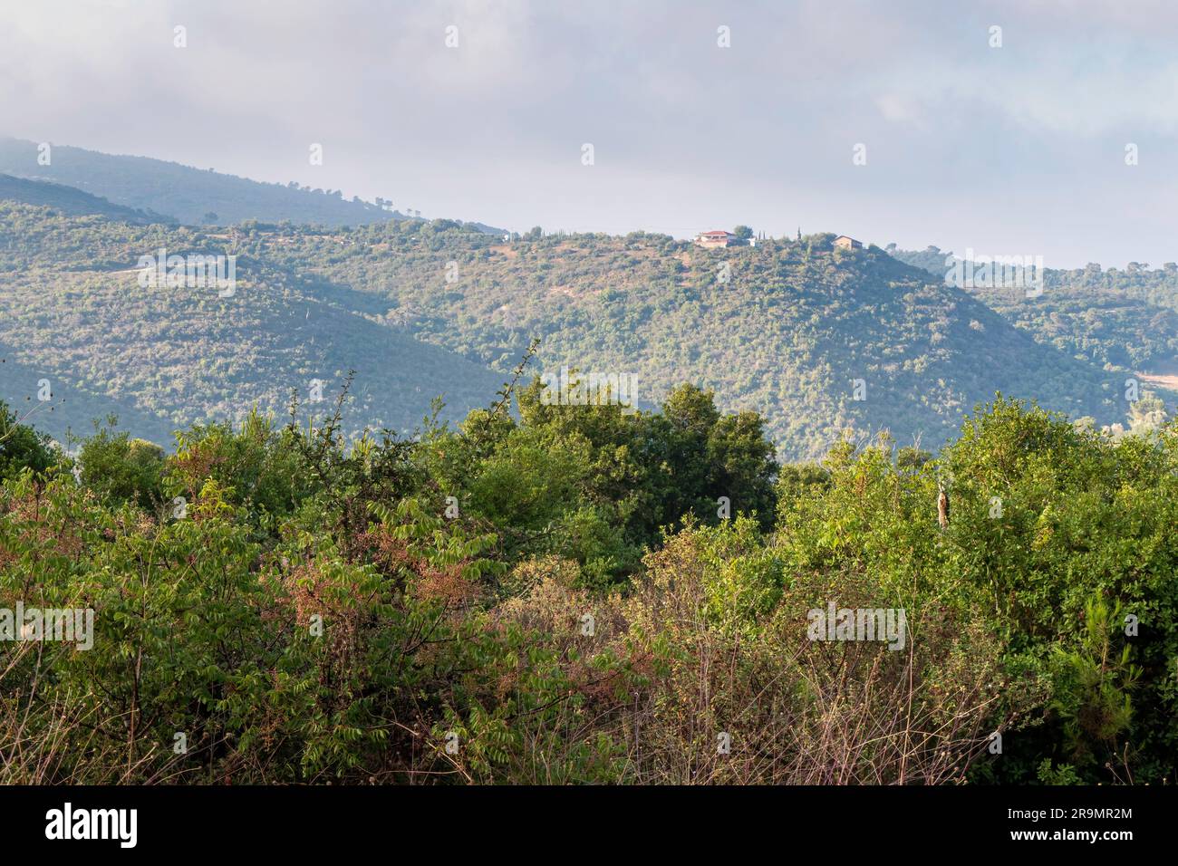 Western Galilee Mount Carmel against blue sky with white clouds. Summer ...
