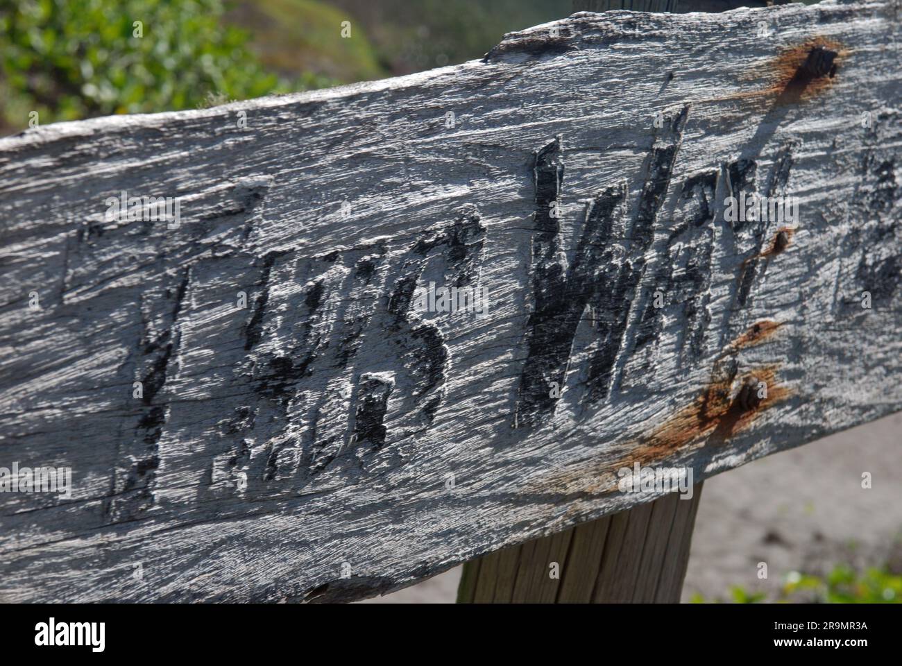 This Way Sign, SIgatoka Sand Dunes National Park, Fiji Stock Photo - Alamy
