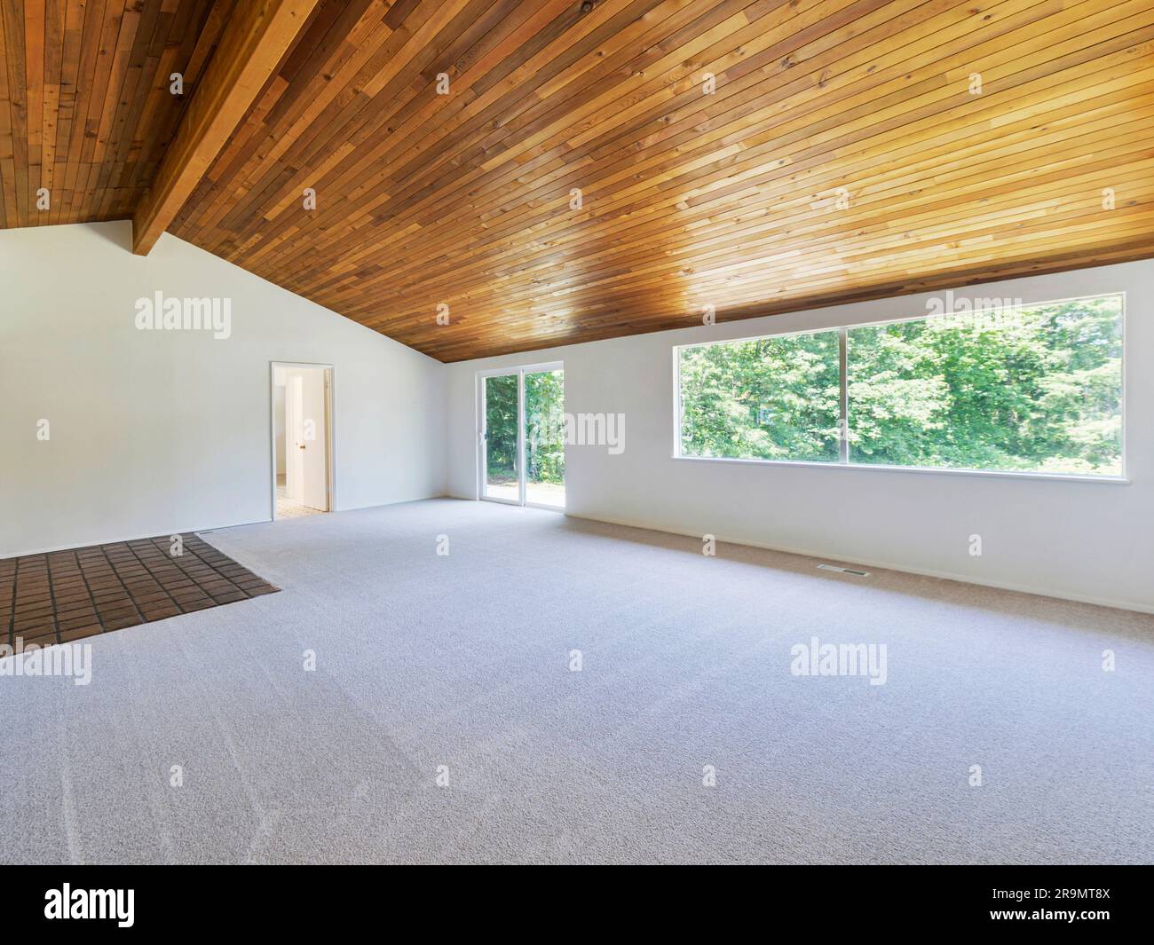 Modern residential emptry living room interior Stock Photo - Alamy