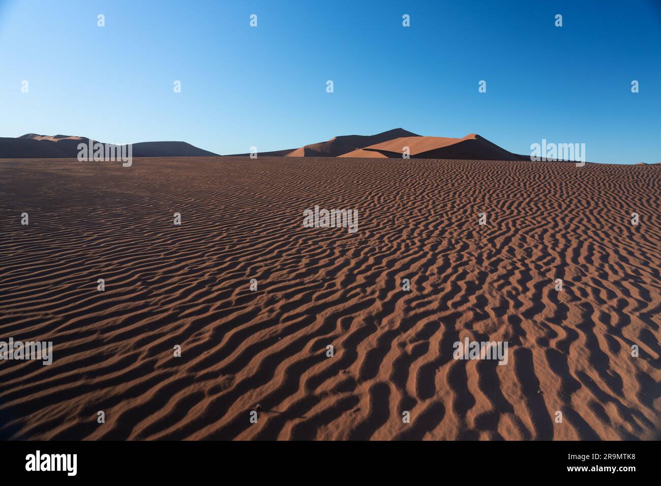 The red sand dunes, Sossusvlei, Namib-Naukluft National Park, Namibia ...
