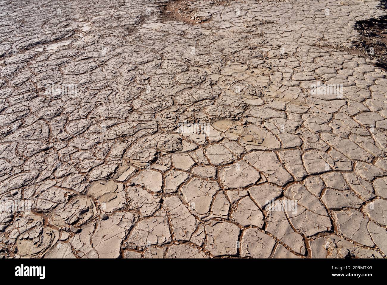 Dry cracked mud photographed at Sossusvlei, Namib-Naukluft National ...