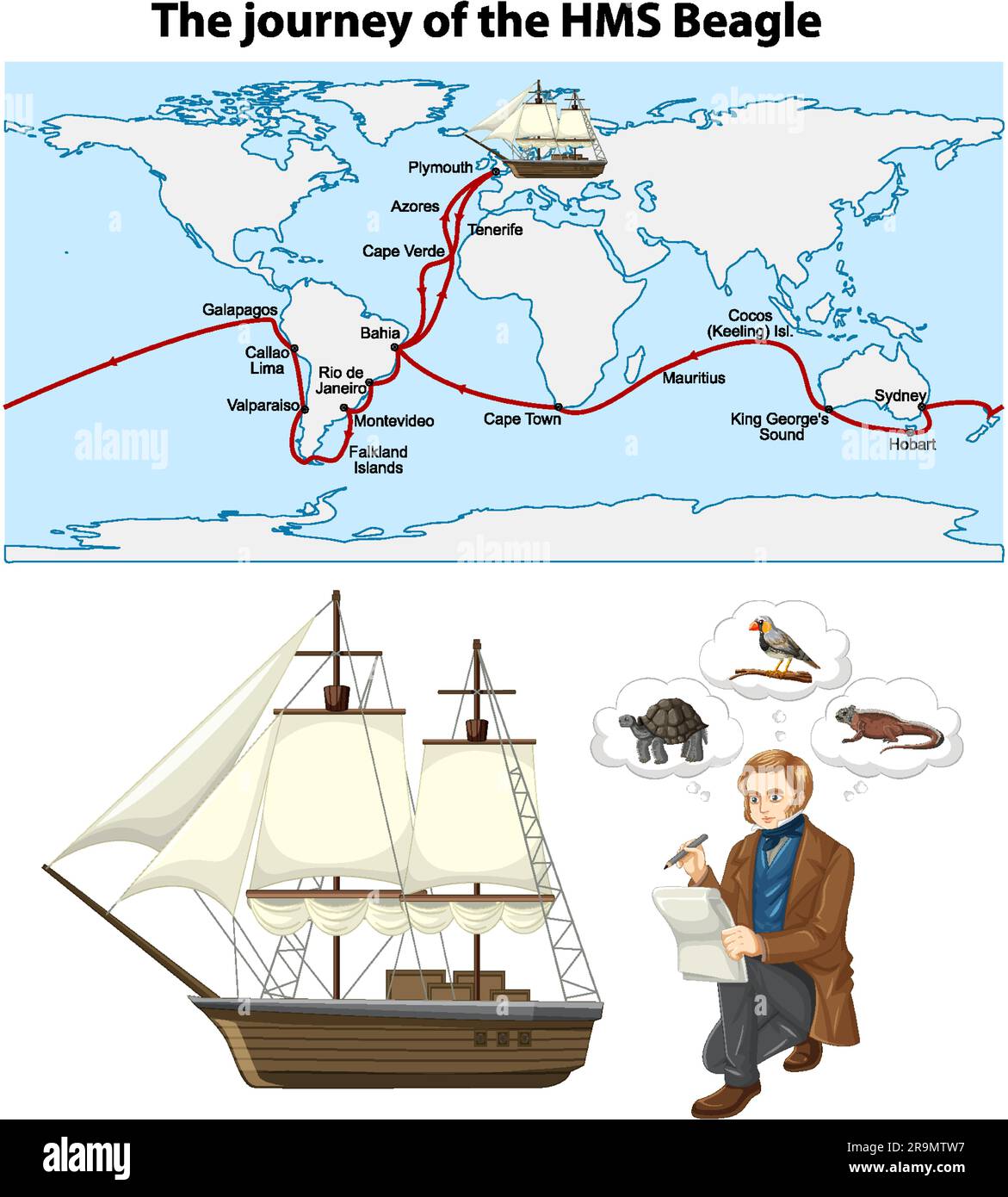 The journey of the HMS Beagle illustration Stock Vector Image & Art - Alamy