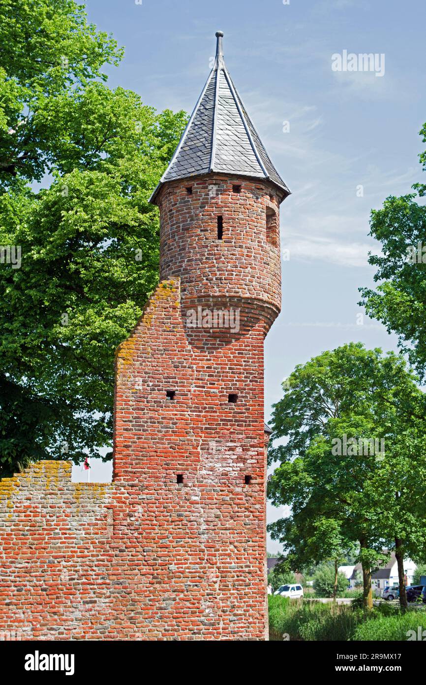 Small tower as part of a defence wall of castle Doornenburg with trees ...