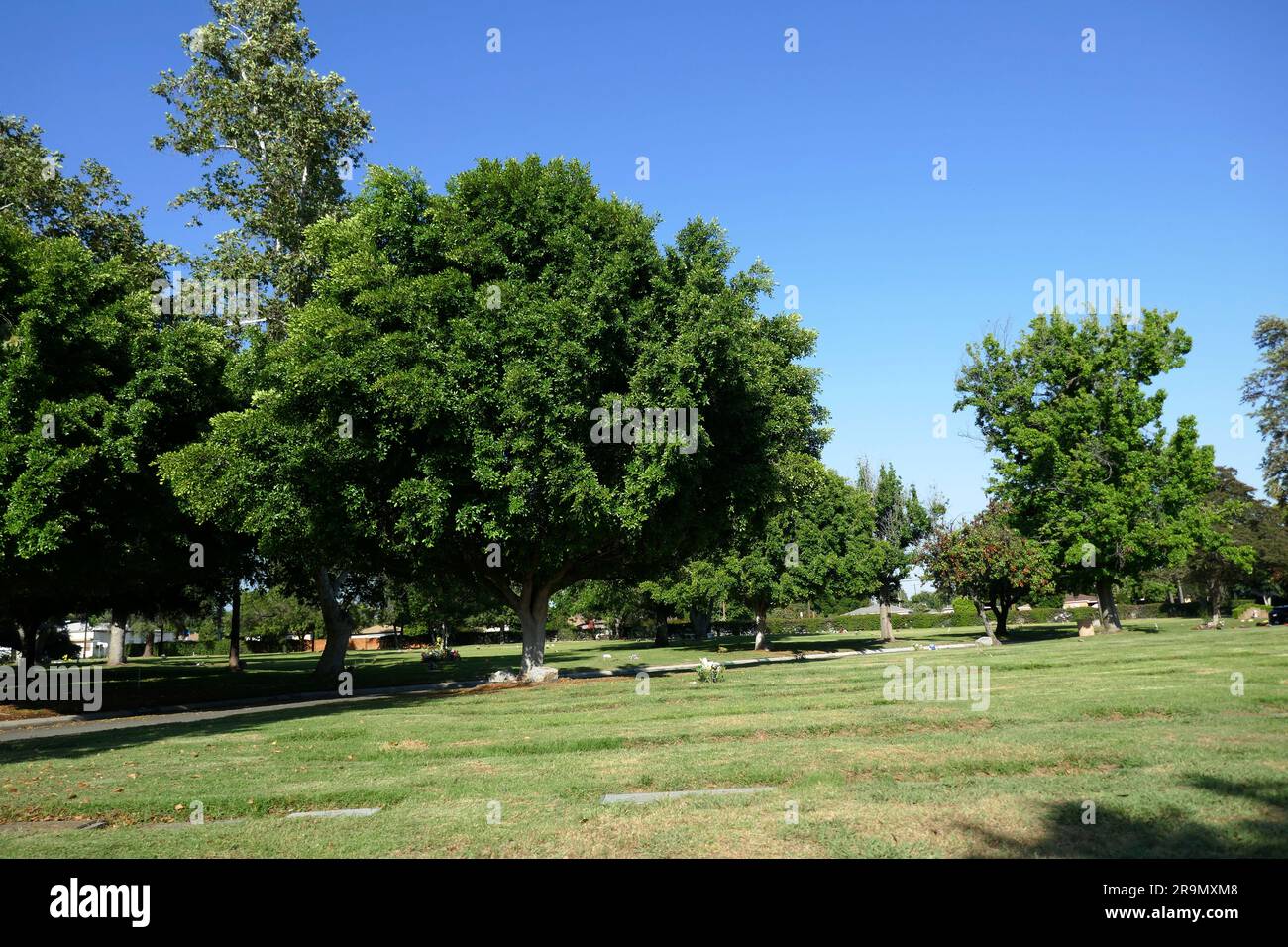Masonic cemetery california hi-res stock photography and images - Alamy