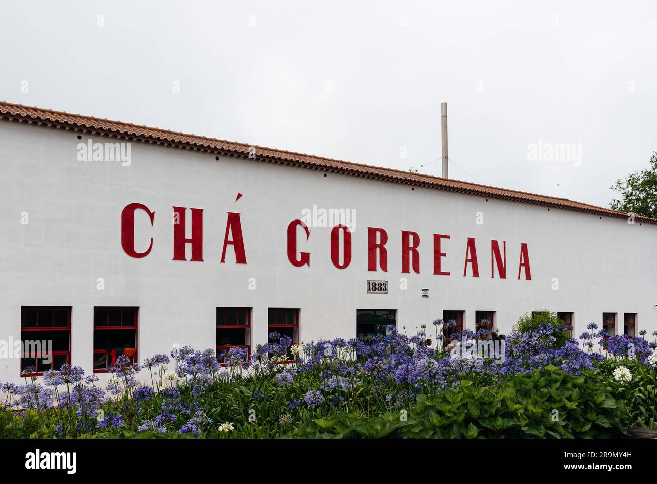 Ponta Delgada, Portugal - July 5th, 20223: Gorreana Tea Factory. It is ...