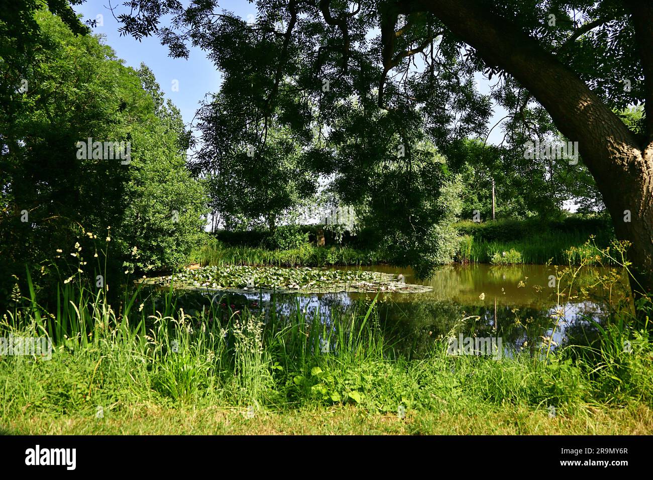 Charleston Farmhouse, West Firle, Lewes, Sussex, UK , Bloomsbury Group ...