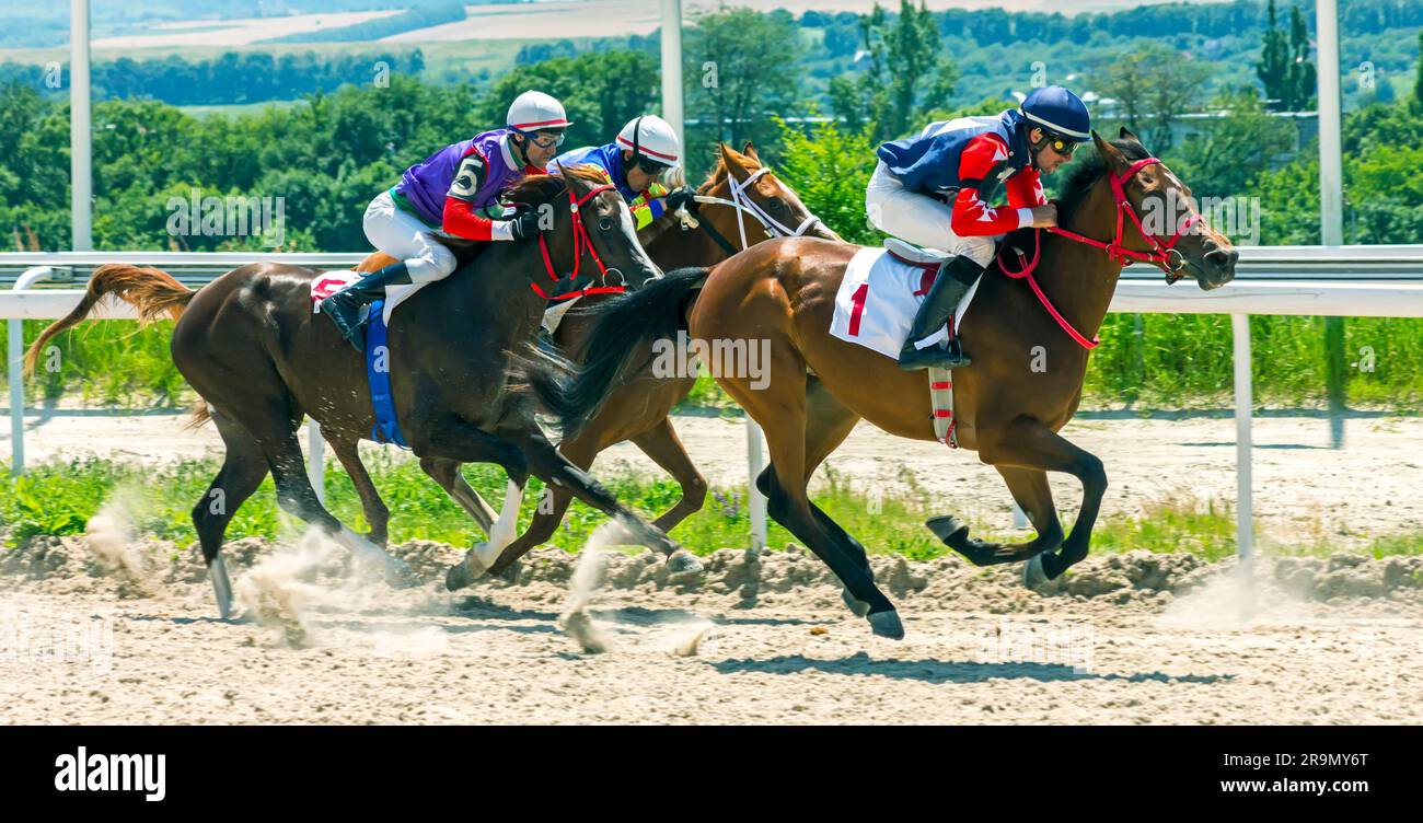 Start horse race in Pyatigorsk Stock Photo - Alamy