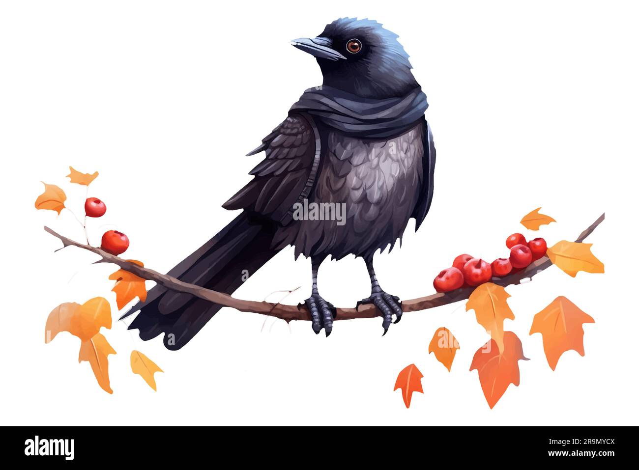 Cute black crow on Cut Out Stock Images & Pictures - Alamy
