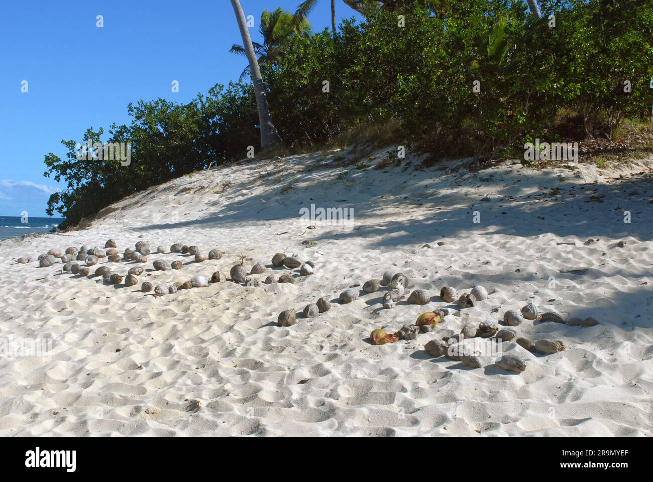 Modriki Island or Cast Away Island, location for Tom Hank’s film ‘Cast ...