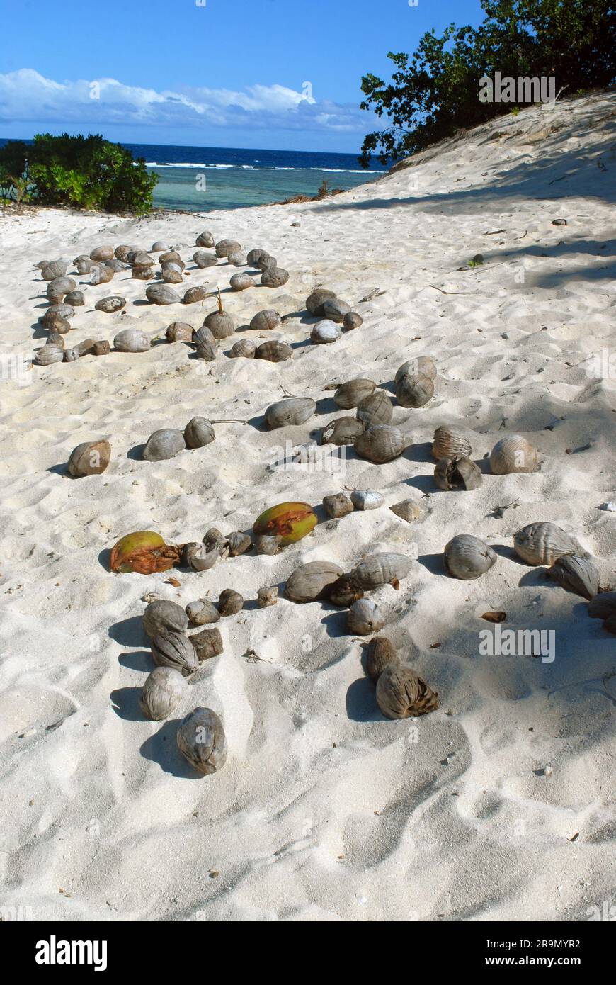 Modriki Island or Cast Away Island, location for Tom Hank’s film ‘Cast ...