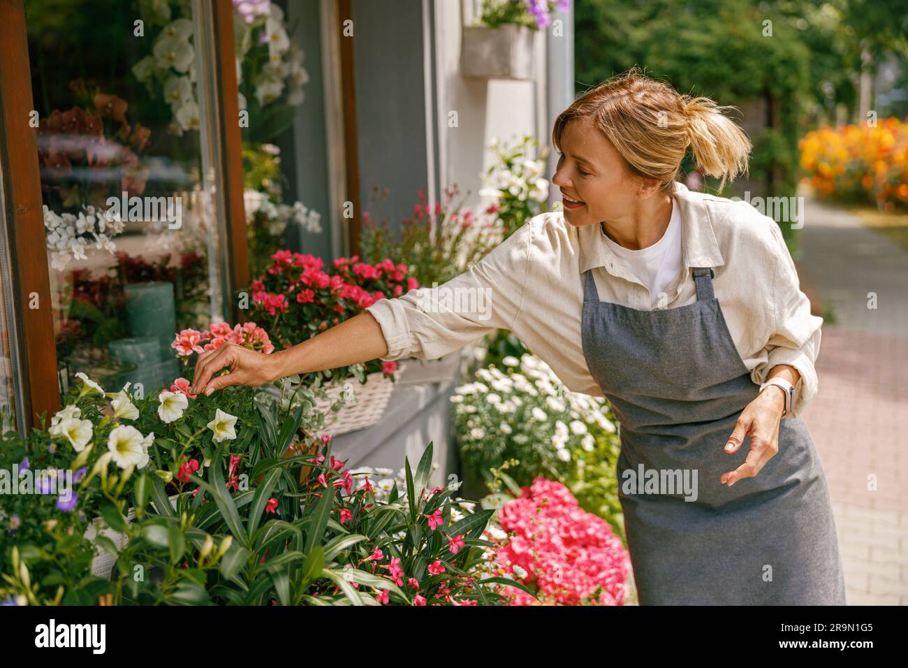 Female florist wearing apron taking care of houseplant in flower shop ...