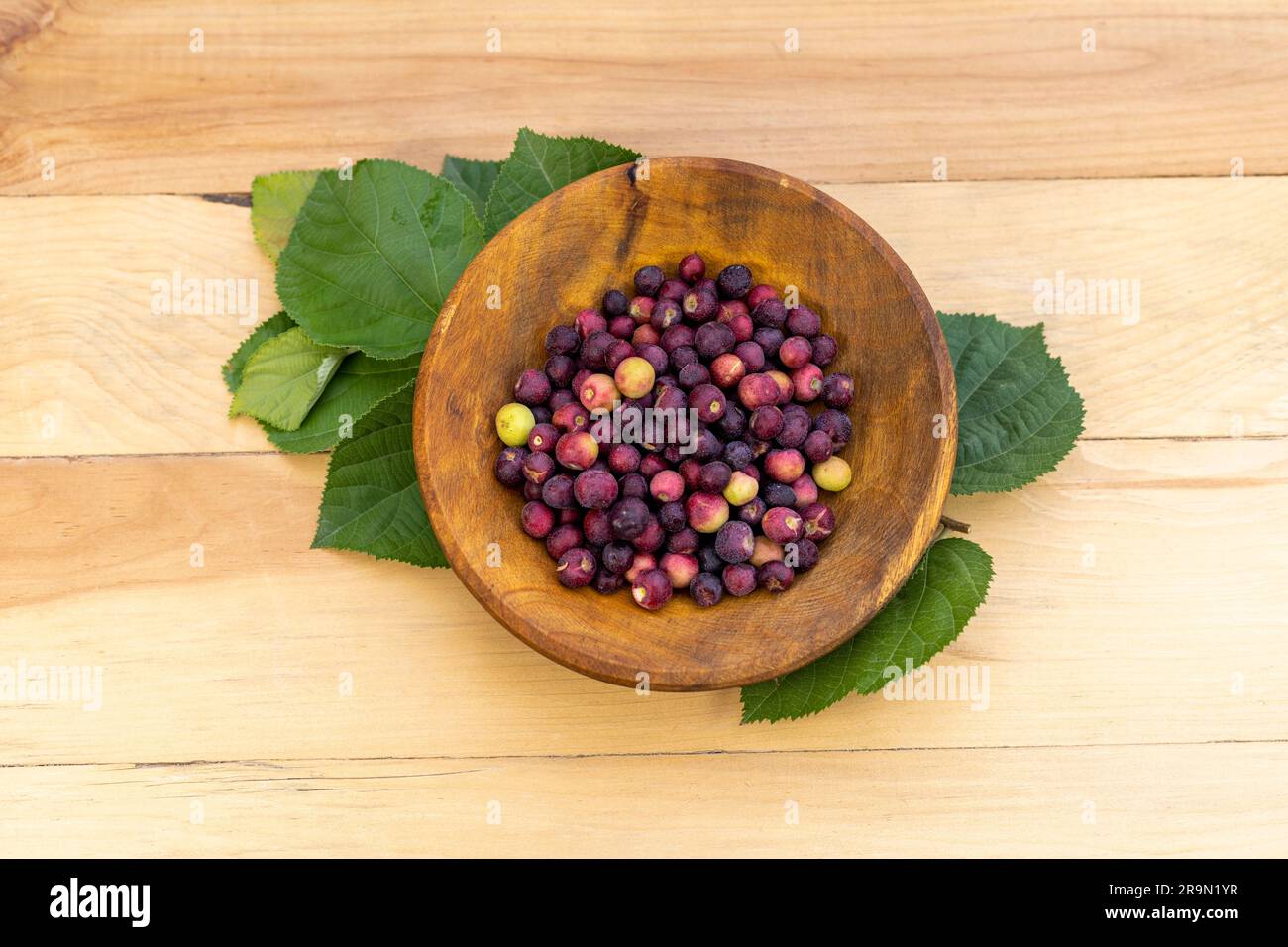 Grewia asiatica falsa fruit in wooden bowl top view on a wooden table ...
