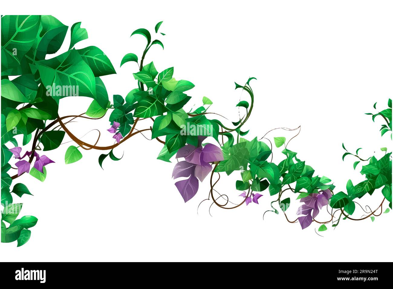 Jungle liana frame Cut Out Stock Images & Pictures - Alamy