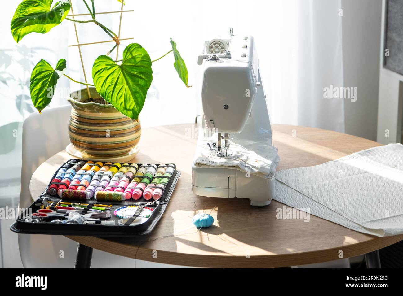 Sewing layout with multicolored spools of thread close-up, needles ...