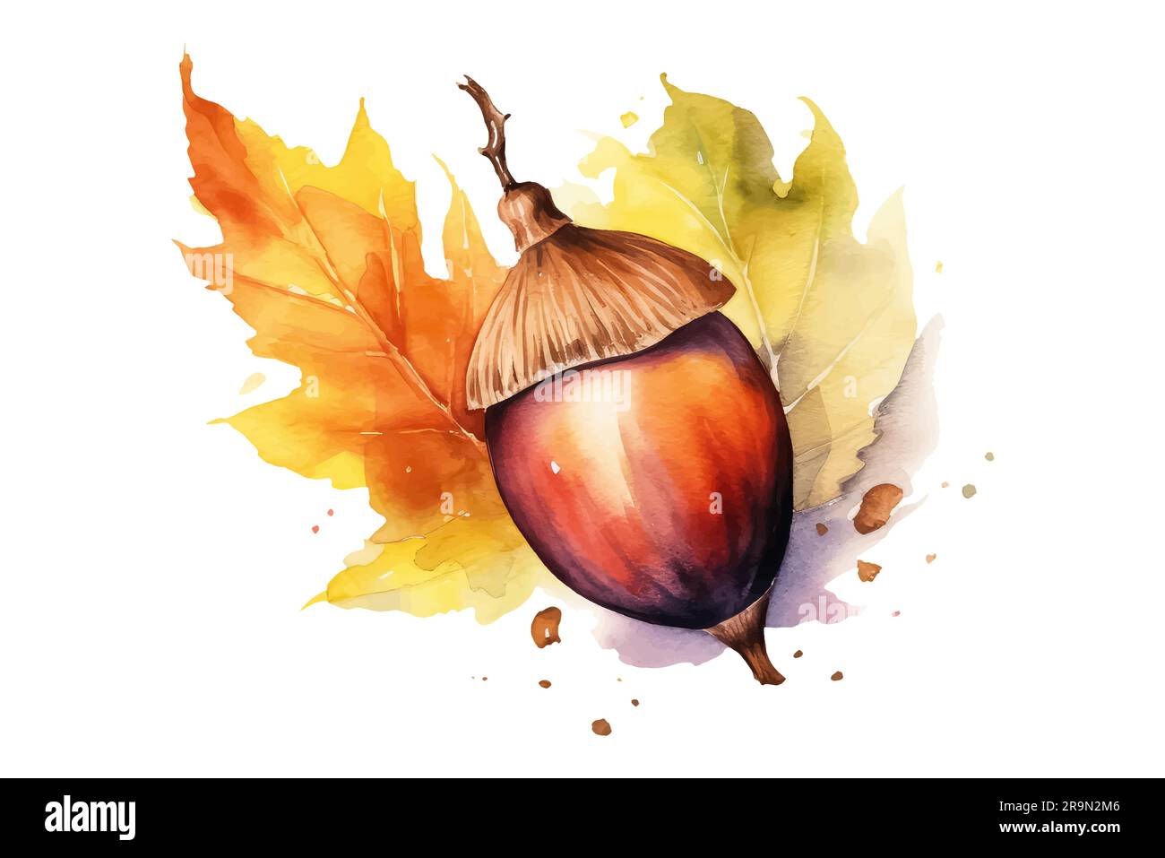 Watercolor acorn among leaves, autumn beautiful season illustration ...