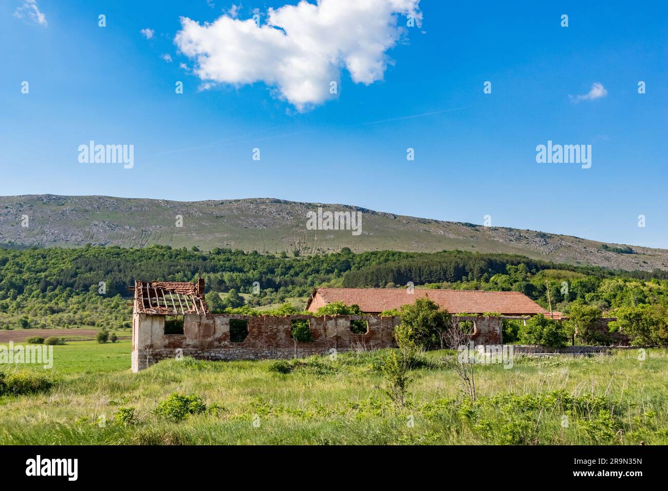 Travel photograph from around Dragoman swamp natural reserve, Western ...