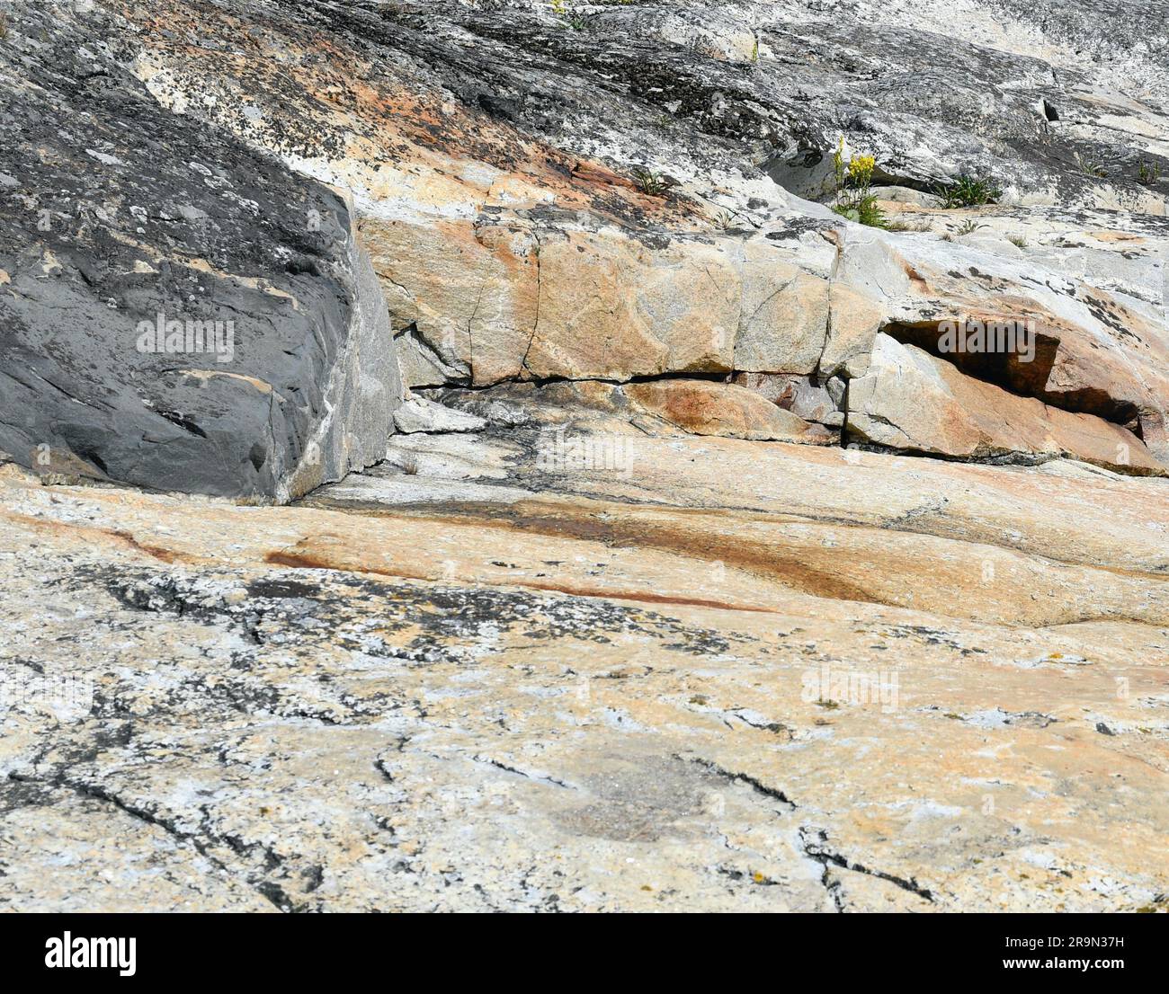 Rugged pattern hi-res stock photography and images - Alamy