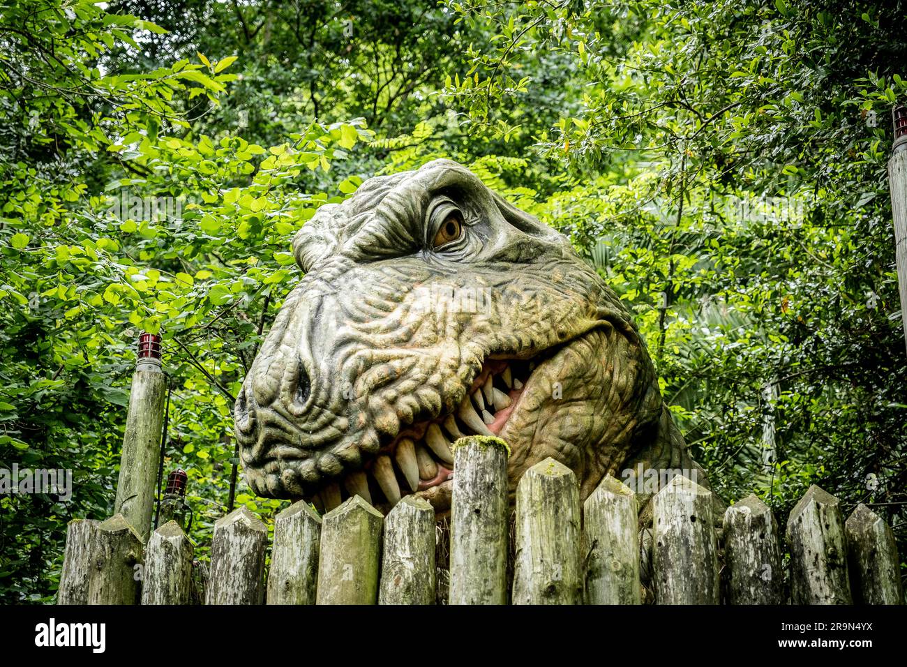 Karpin Fauna. Reproduction of a Tyrannosaurus Rex life-size in the area ...