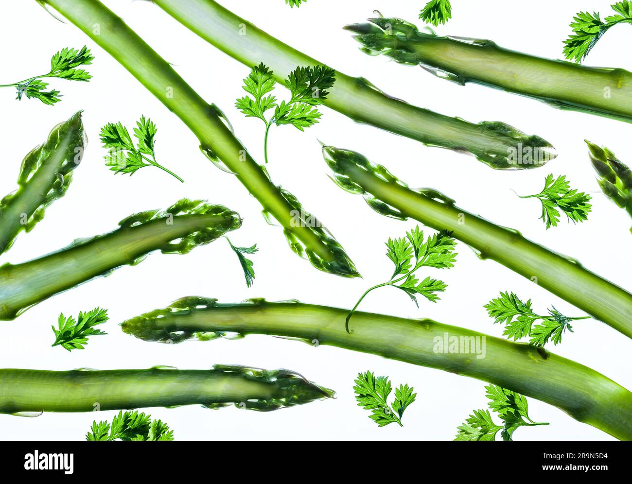 Thin slices of fresh vegetables on a white background Stock Photo - Alamy