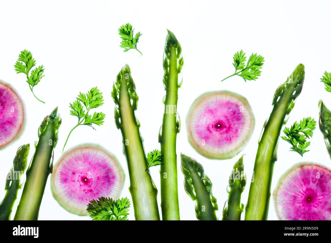 Thin slices fresh vegetables hi-res stock photography and images - Alamy