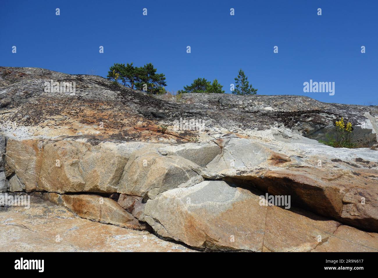 Scenic backgrounds hi-res stock photography and images - Alamy