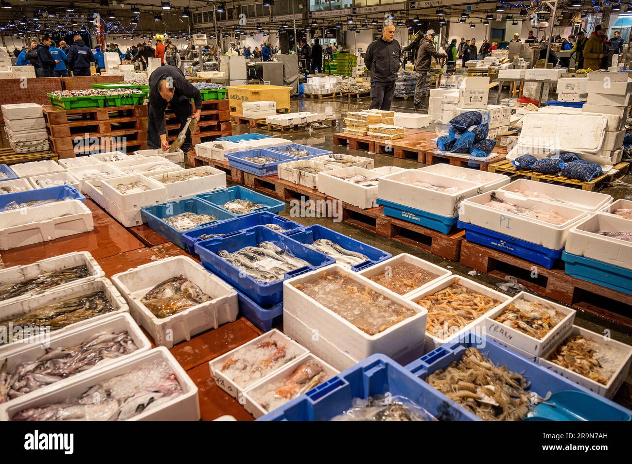 Fish section hi-res stock photography and images - Alamy