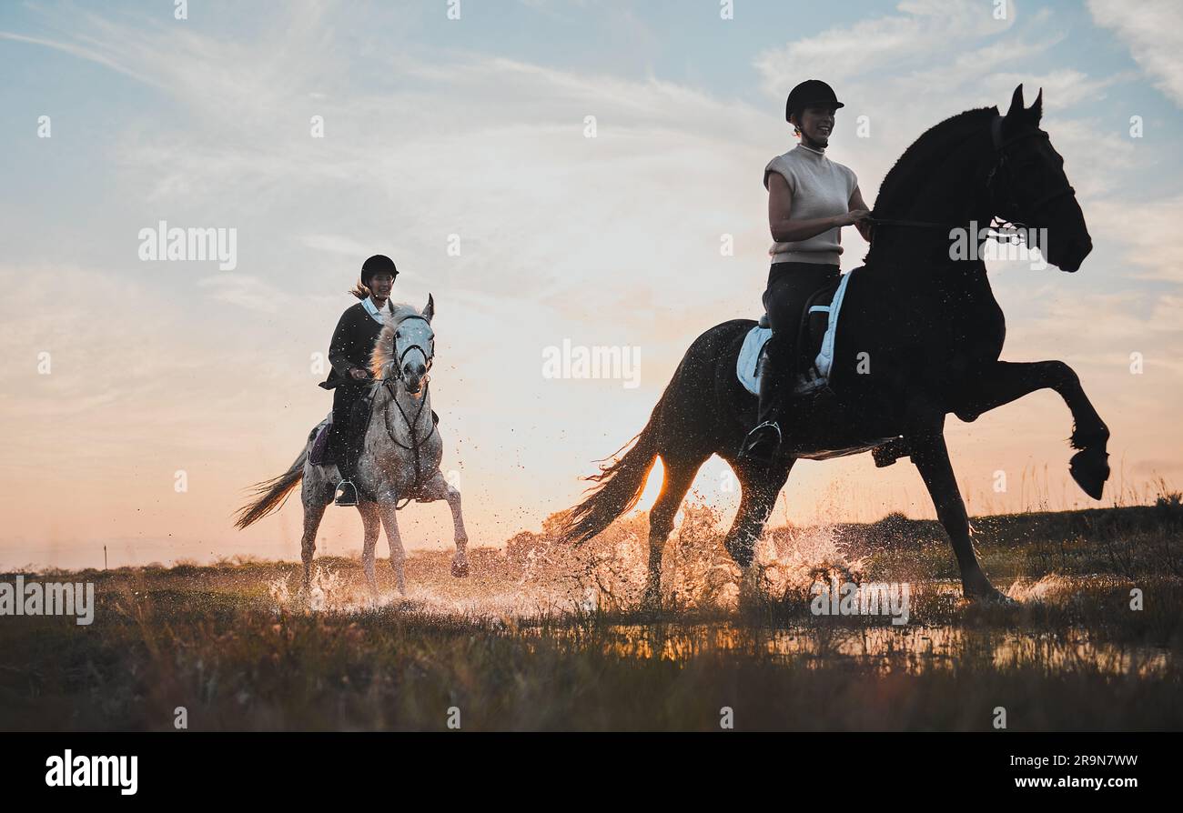 Sunset, girl and horse riding in water for adventure in nature for fun ...