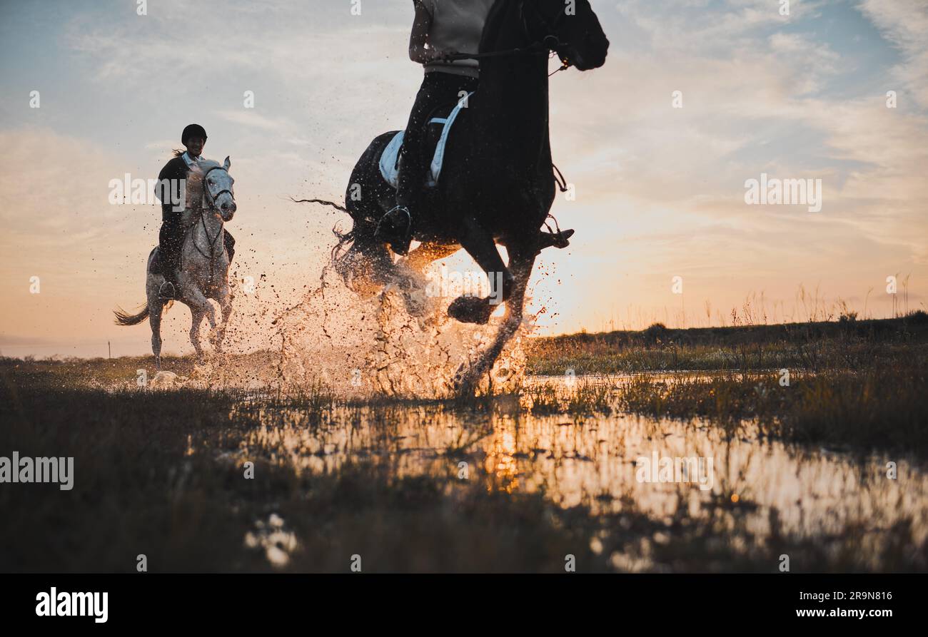 Horse riding, friends and women in countryside at sunset with outdoor ...