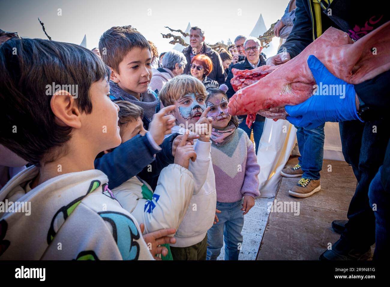 Show.Showing a pig's head to the kids. Butcher butchering a pig ...